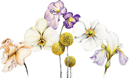 Home - Alexandra Nea