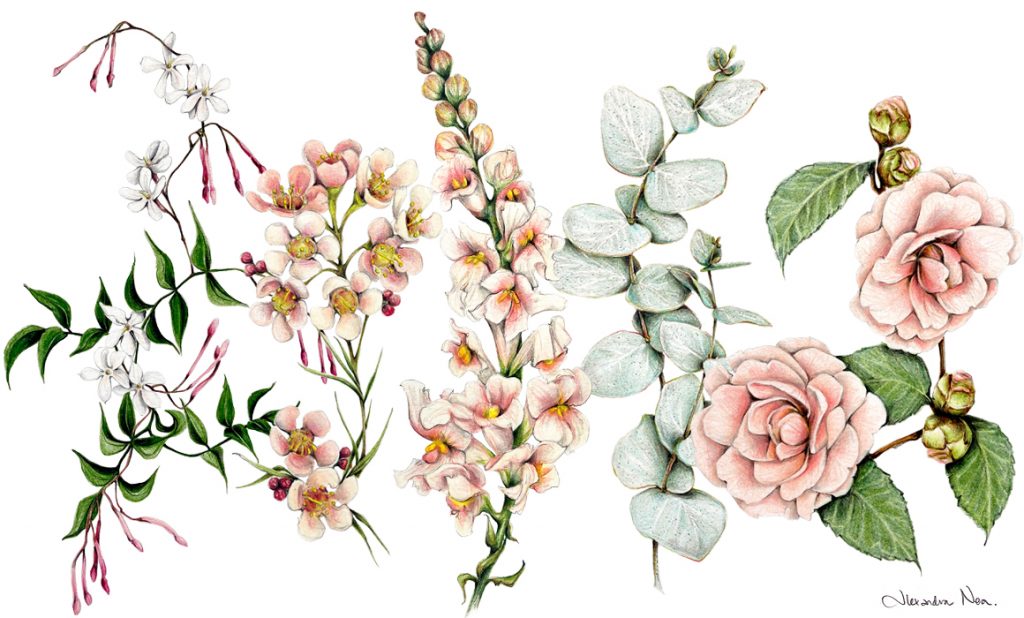 Home - Alexandra Nea