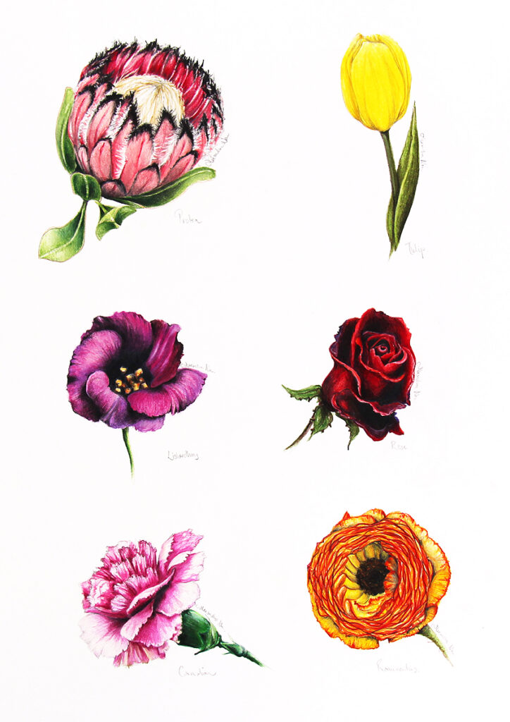 Original Artworks Archives - Alexandra Nea