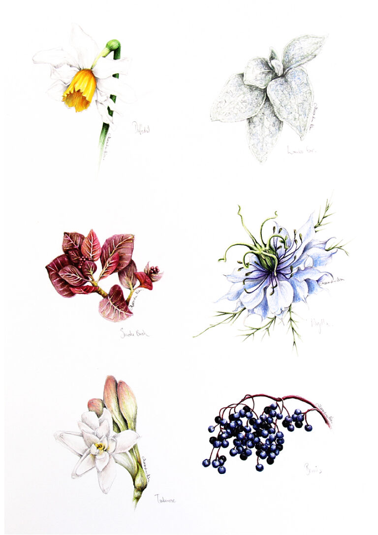 Original Artworks Archives - Alexandra Nea