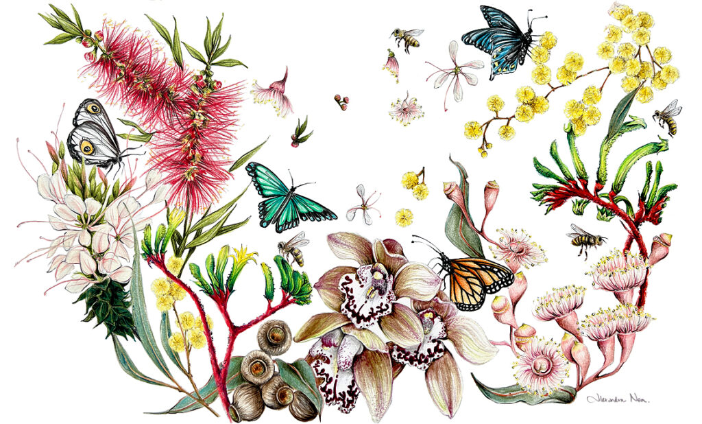 Home - Alexandra Nea